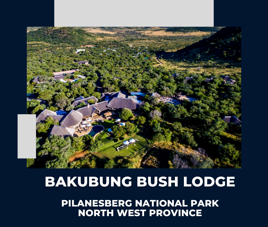 Lodges – Live To Travel & Tours We Go Above and Beyond