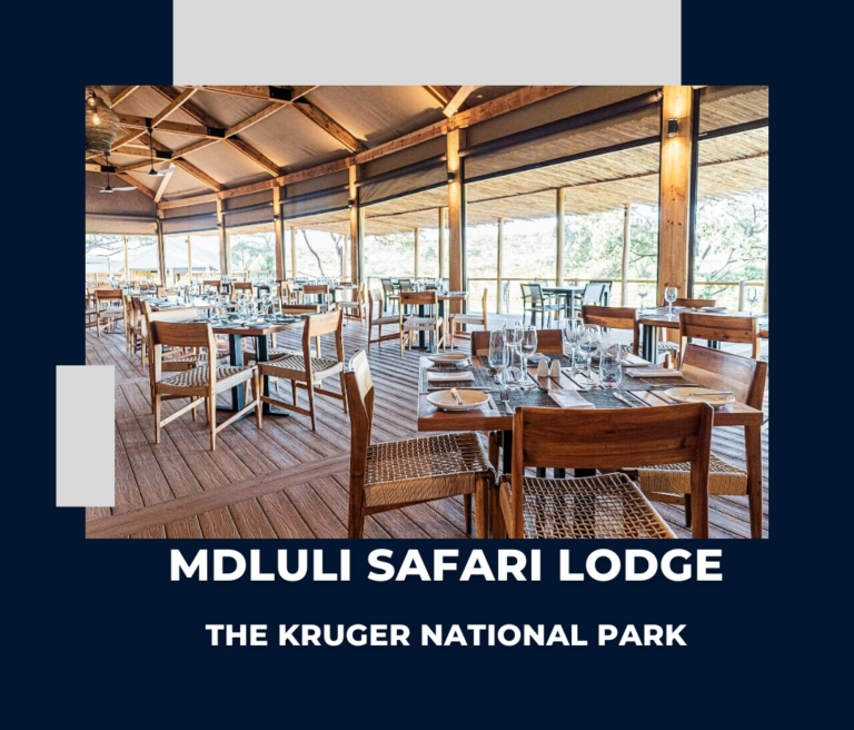 Mdluli Safari Lodge The Kruger National Park – Live To Travel & Tours ...