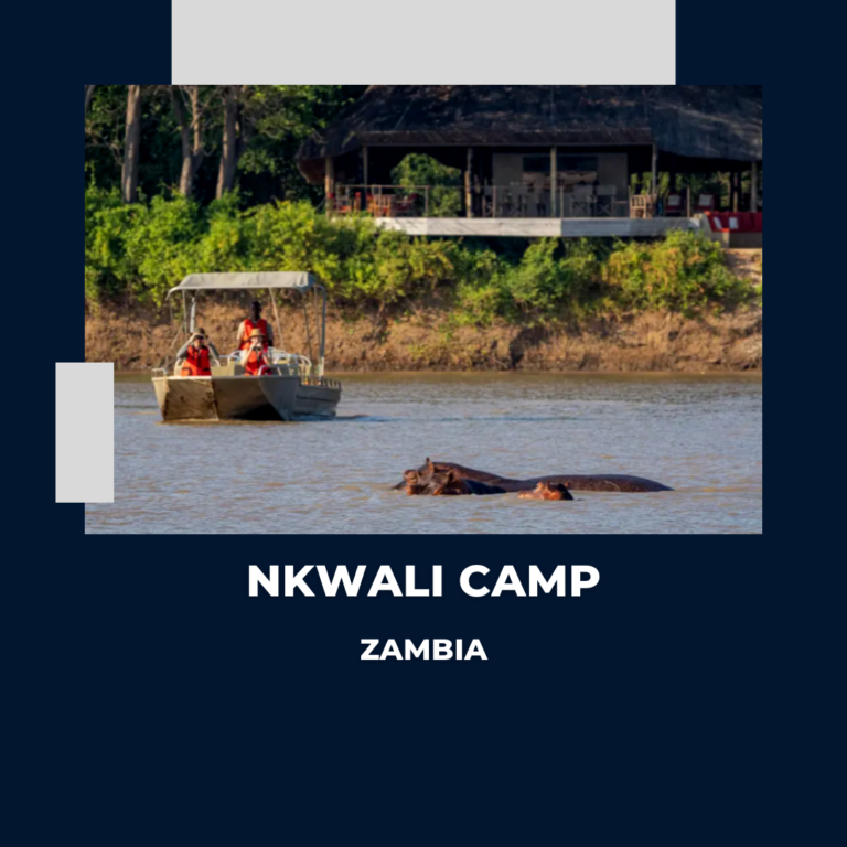 Nkwali Camp – Live To Travel & Tours We Go Above and Beyond